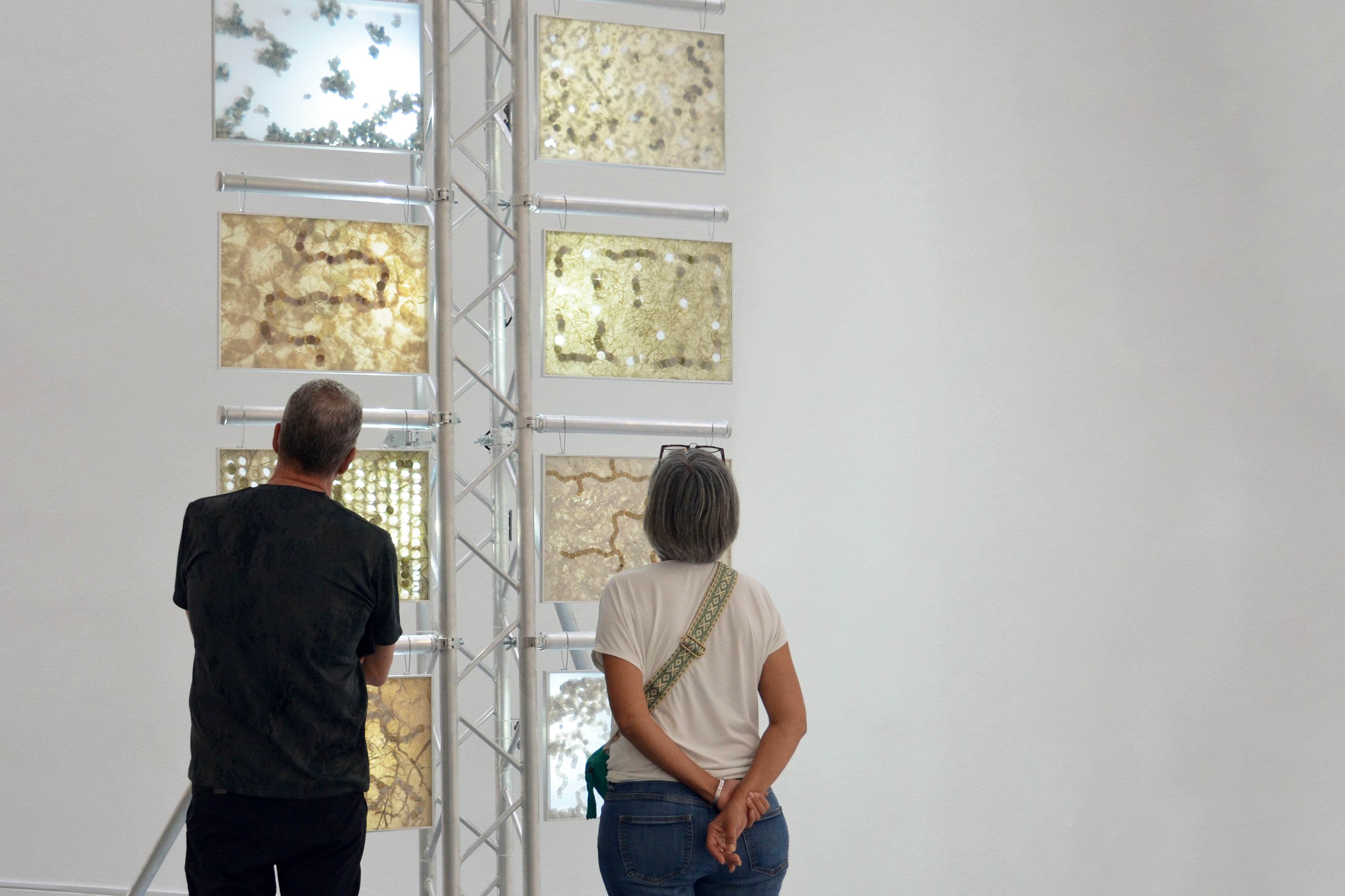 Unexpected Growth: Kozo Studio x Apisara Hophaisarn