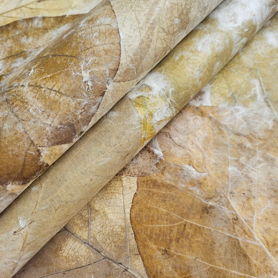 Your One-Stop Shop for Mulberry Papers – Kozo Studio